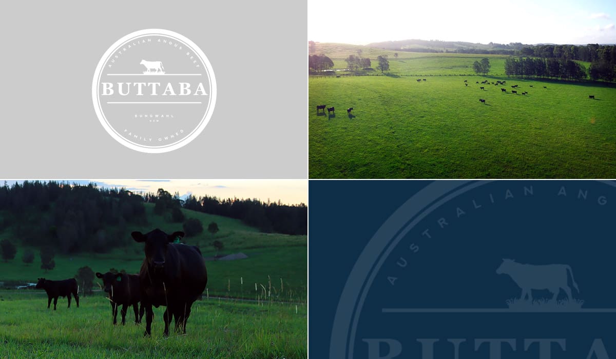 Buttaba Farm | Lewis Hotels