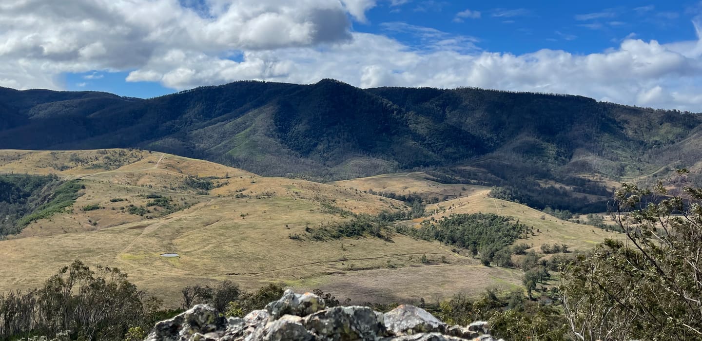 About Us | Lewis Hotels